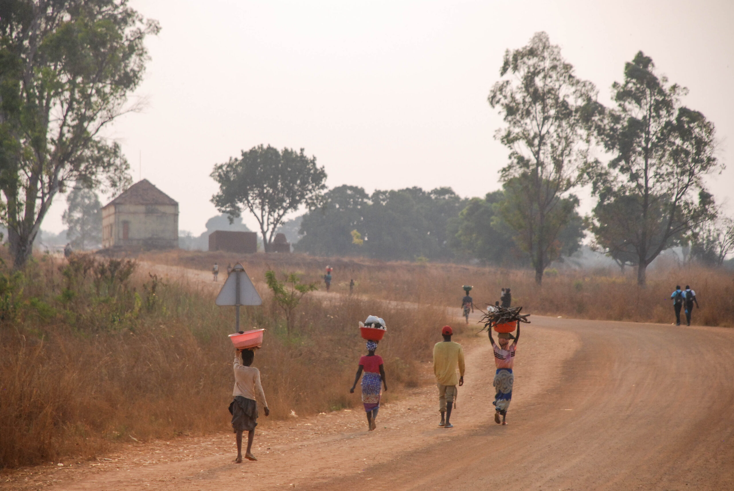 Celeiro do mundo - Angola Viva